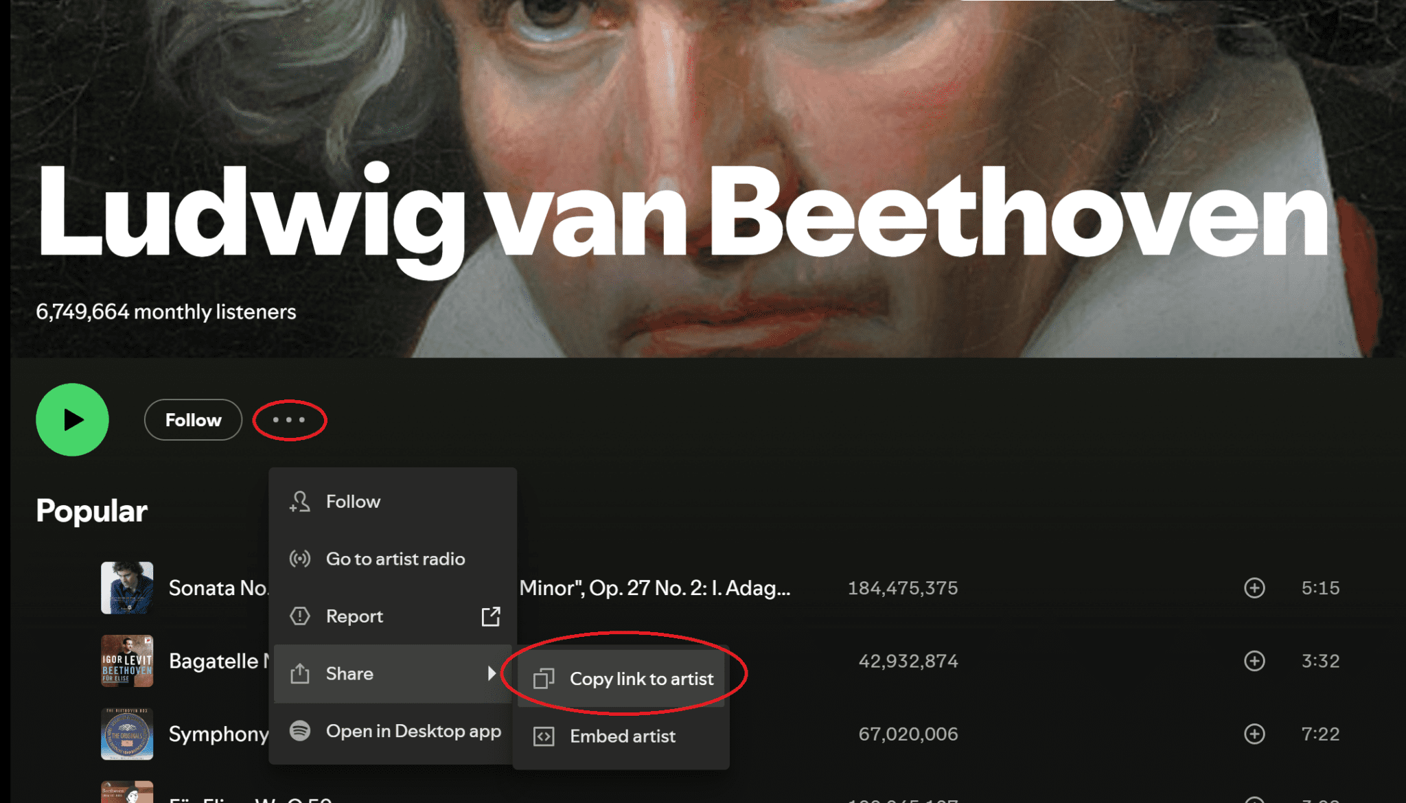 Generate a Spotify QR code